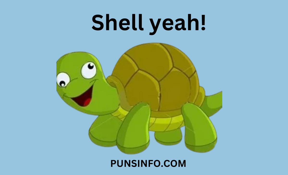 150+ Turtle Puns and Jokes That Are Shell-arious