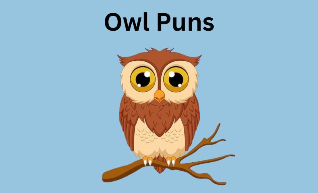 270 Owl Puns That Are Simply Owl-Standing & Funny